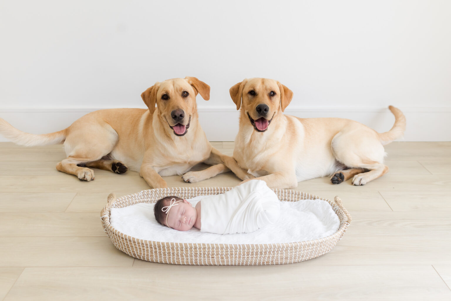 Blog - Emily Gerald Photography